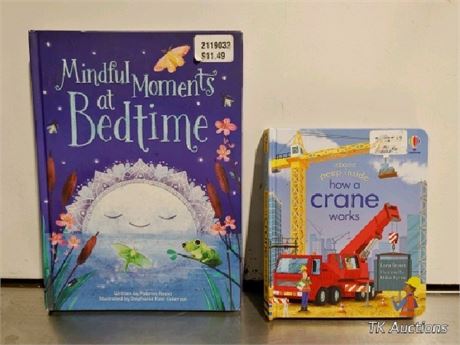TK Auctions - Children's books , 2pc