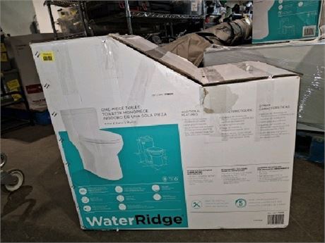 TK Auctions - Waterridge One Piece Elongated Dual Flush Toilet