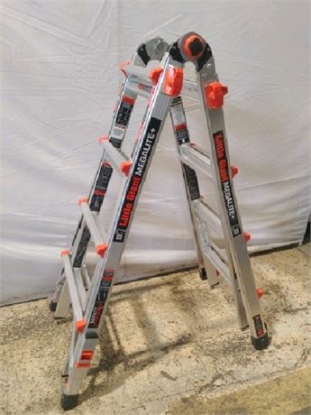 TK Auctions - Little Giant MegaLite + Multi-use Ladder